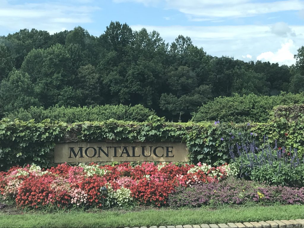 Montaluce Winery - Dahlonega, GA • Finding Family Adventures