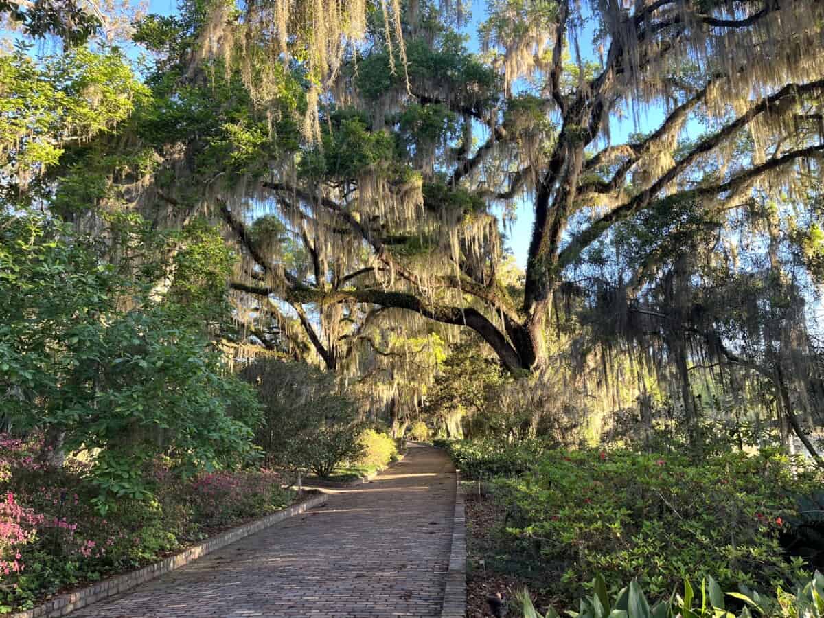 Maclay Gardens State Park - Tallahassee, FL • Finding Family Adventures